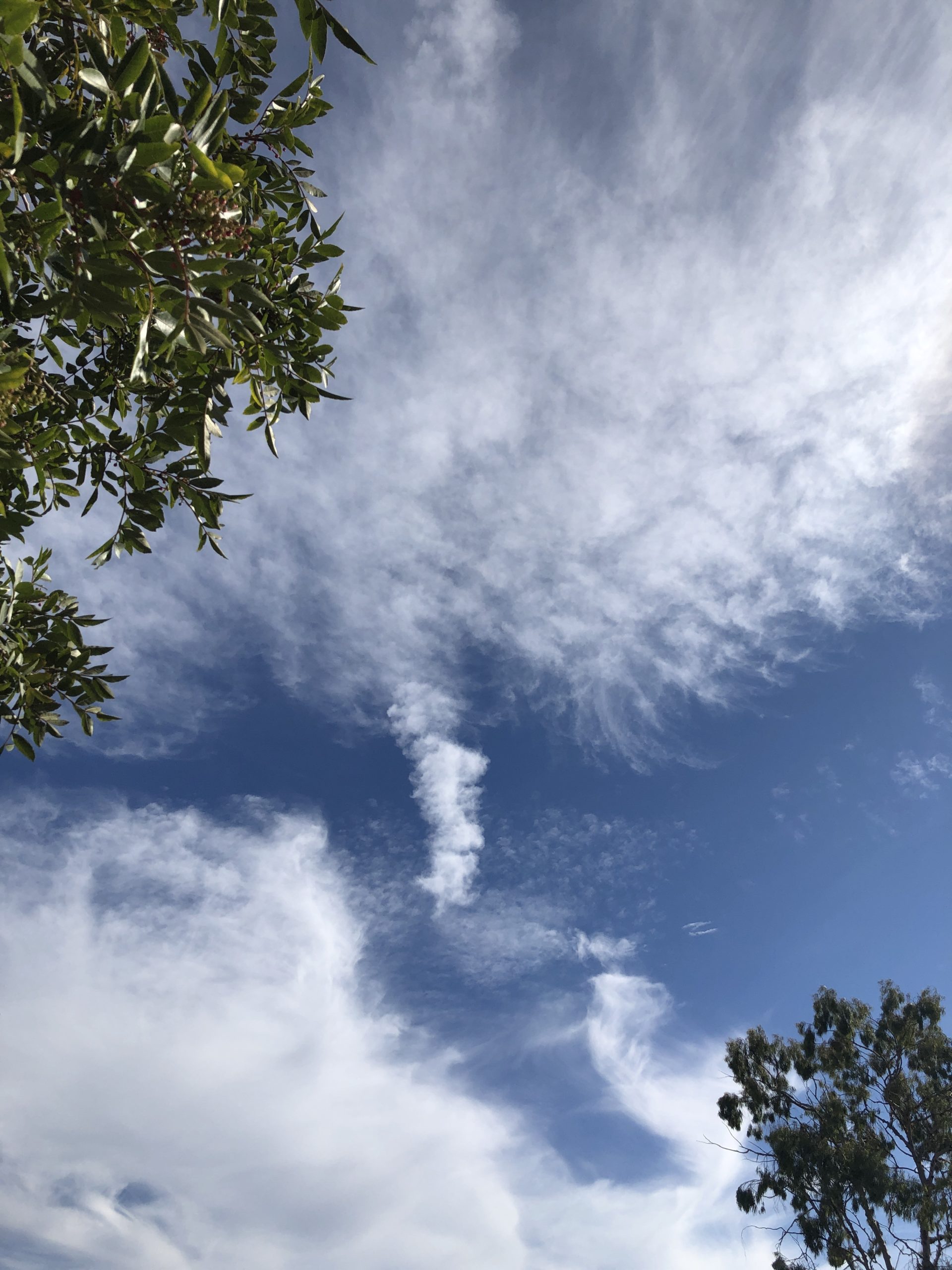 Cloud of the day – Won't4GetUNotes