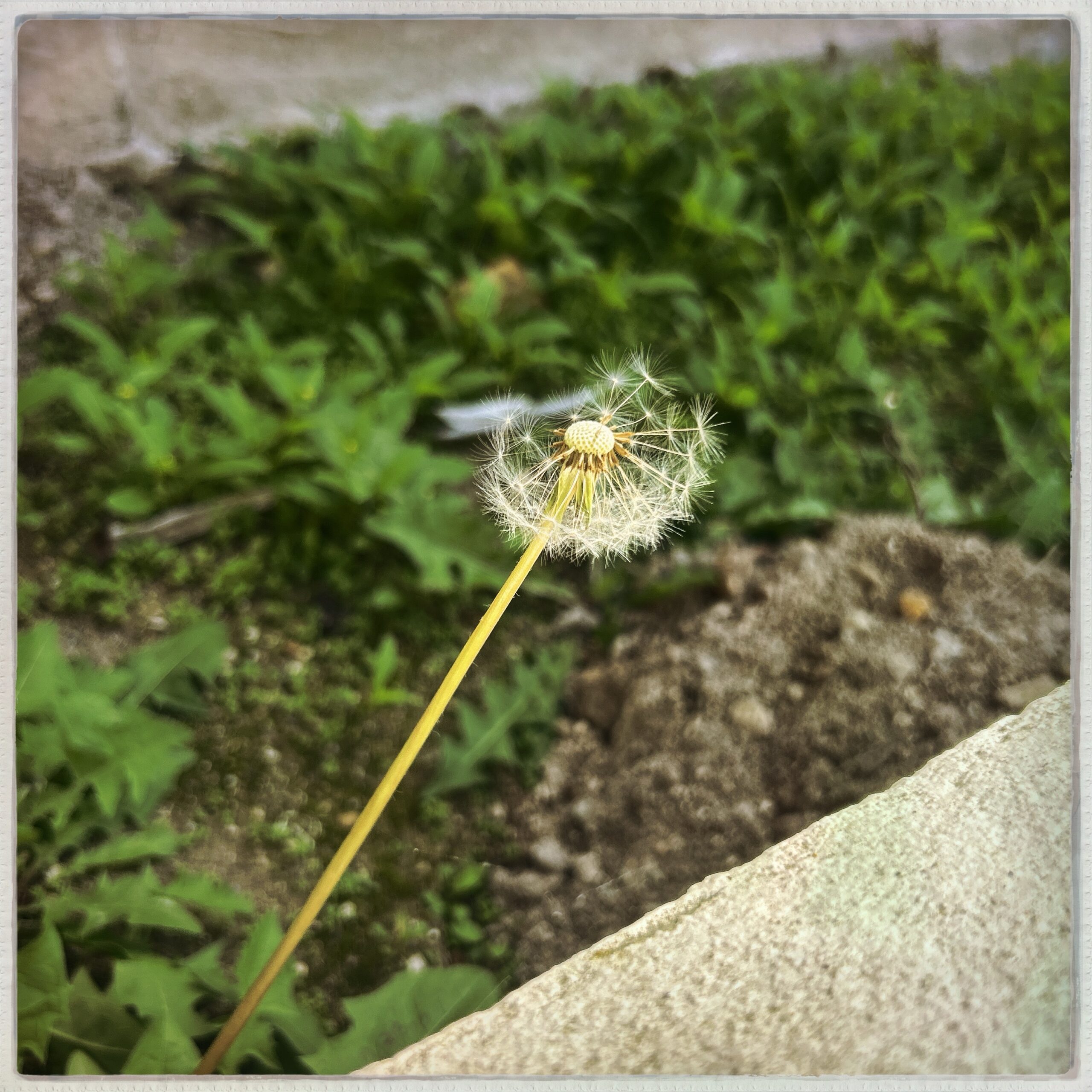 Walk about – Won't4GetUNotes
